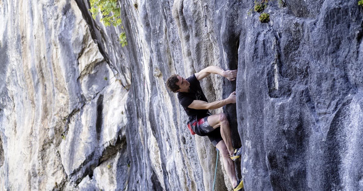 À Fontainebleau, un Adam Ondra de nouveau au sommet de son art | Radio ...
